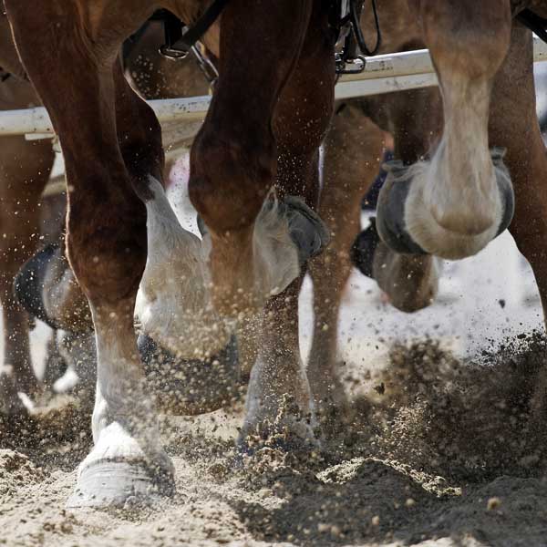 Getting the Most for Your Money with Ker-A-Form™ - KPP