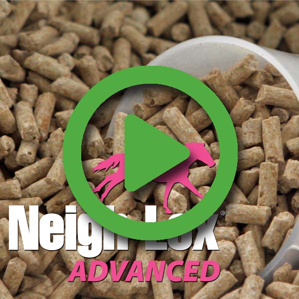 Why Choose Neigh-Lox Advanced? - KPP