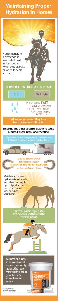 Dehydration in Horses | KPP