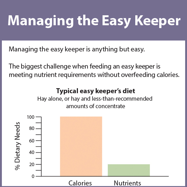 Managing the Easy Keeper - KPP