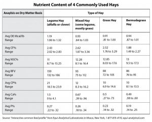 Common Hay: A Quick Comparison - KPP