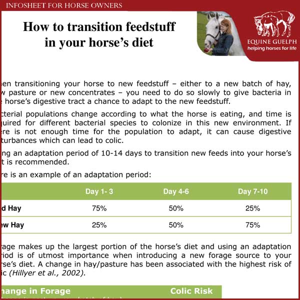 How to Transition Feedstuff in Your Horse’s Diet - KPP
