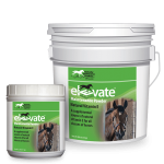 Elevate® - A Natural Vitamin E supplement for horses
