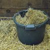 Soaking hay before feeding is one way to lower the sugar levels, but it ...