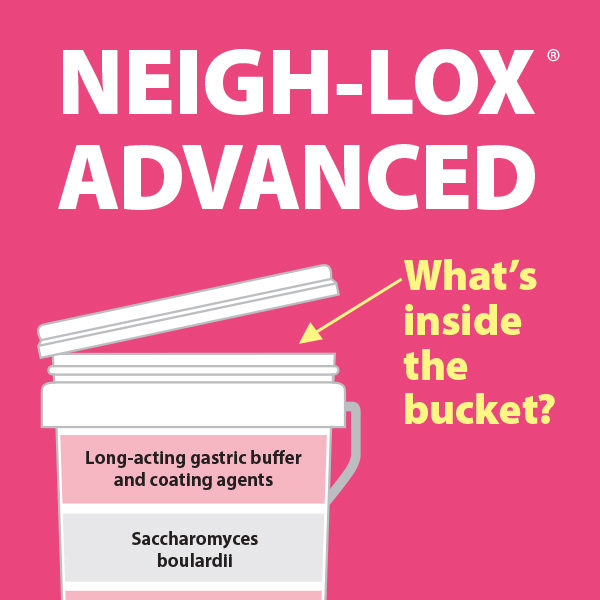 Neigh-Lox® Advanced: What’s Inside the Bucket? - KPP