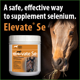 Selenium: How Much Is in Your Horse’s Diet? - KPP