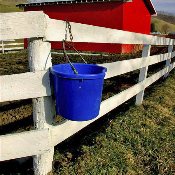 Five Easy Steps to Set Up a Good Feeding Program - KPP