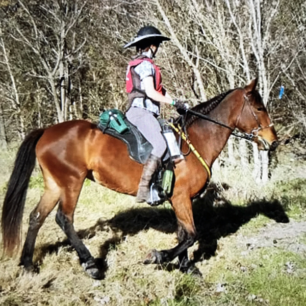 Myo-Guard helps Mustang win top ribbons. - KPP