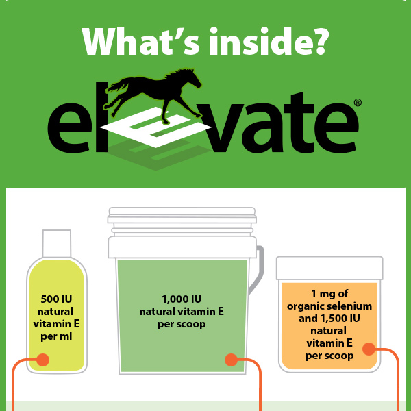 Elevate®: What’s Inside - KPP