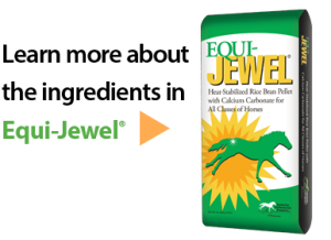 Horse Supplements and Nutrition Advice | Kentucky Performance Products