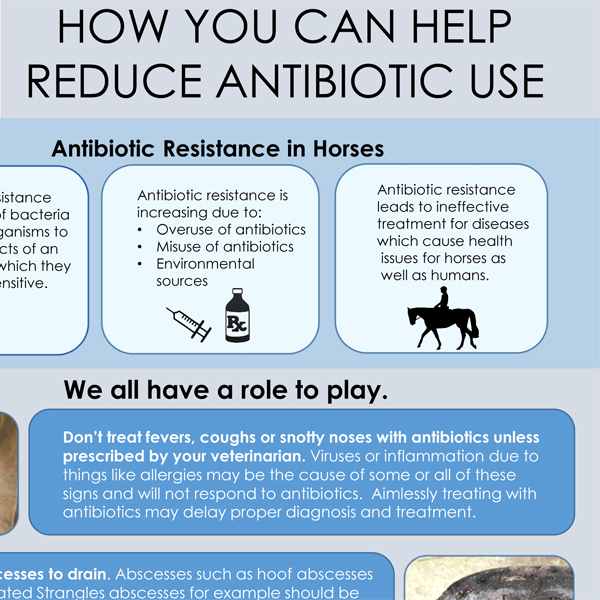How You Can Help Reduce Antibiotic Use - KPP