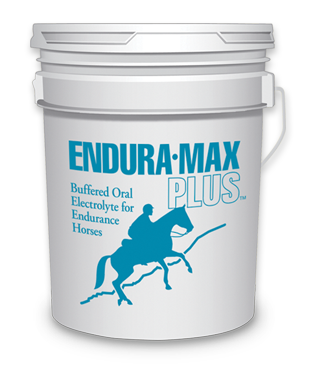 International Supplements - KPP