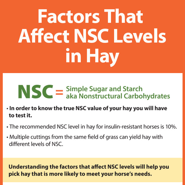 Factors That Affect NSC Levels in Hay - KPP
