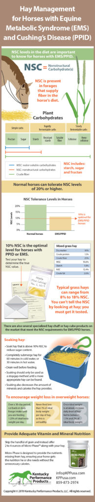 Hay Management for Horses with Equine Metabolic Syndrome (EMS) and ...