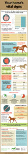 Do You Know What Your Horse’s Vital Signs Should Be? - KPP