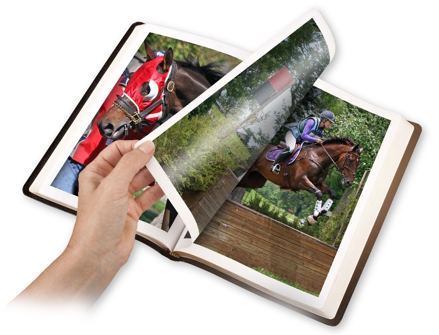 Off-The-Track Thoroughbred (OTTB) Nutrition - KPP