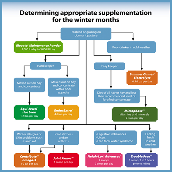 Determining the appropriate winter supplements for your horse - KPP