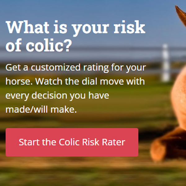 What is your horse's colic risk? - KPP
