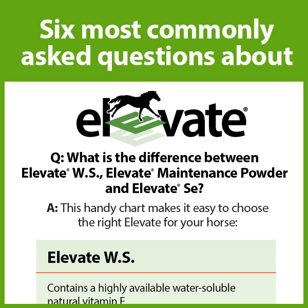 Six most commonly asked questions about Elevate® - KPP