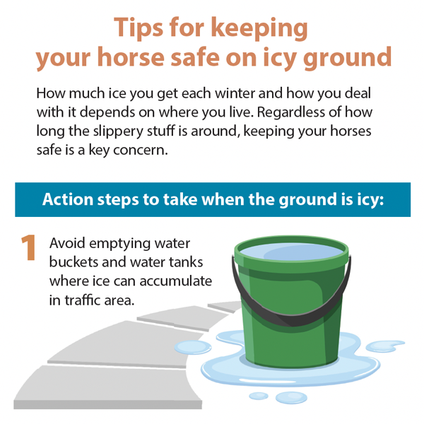Tips for keeping your horse safe on icy ground - KPP