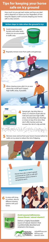 Tips for keeping your horse safe on icy ground - KPP