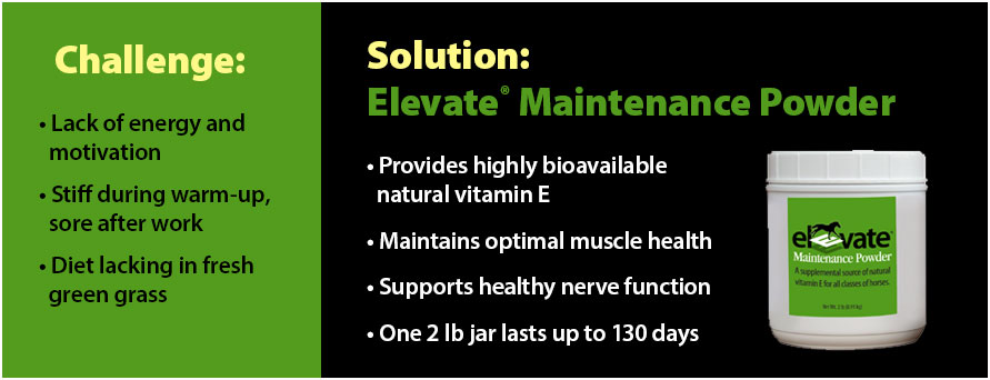 Kentucky Performance Products - The Horse That Matters to You Matters ...